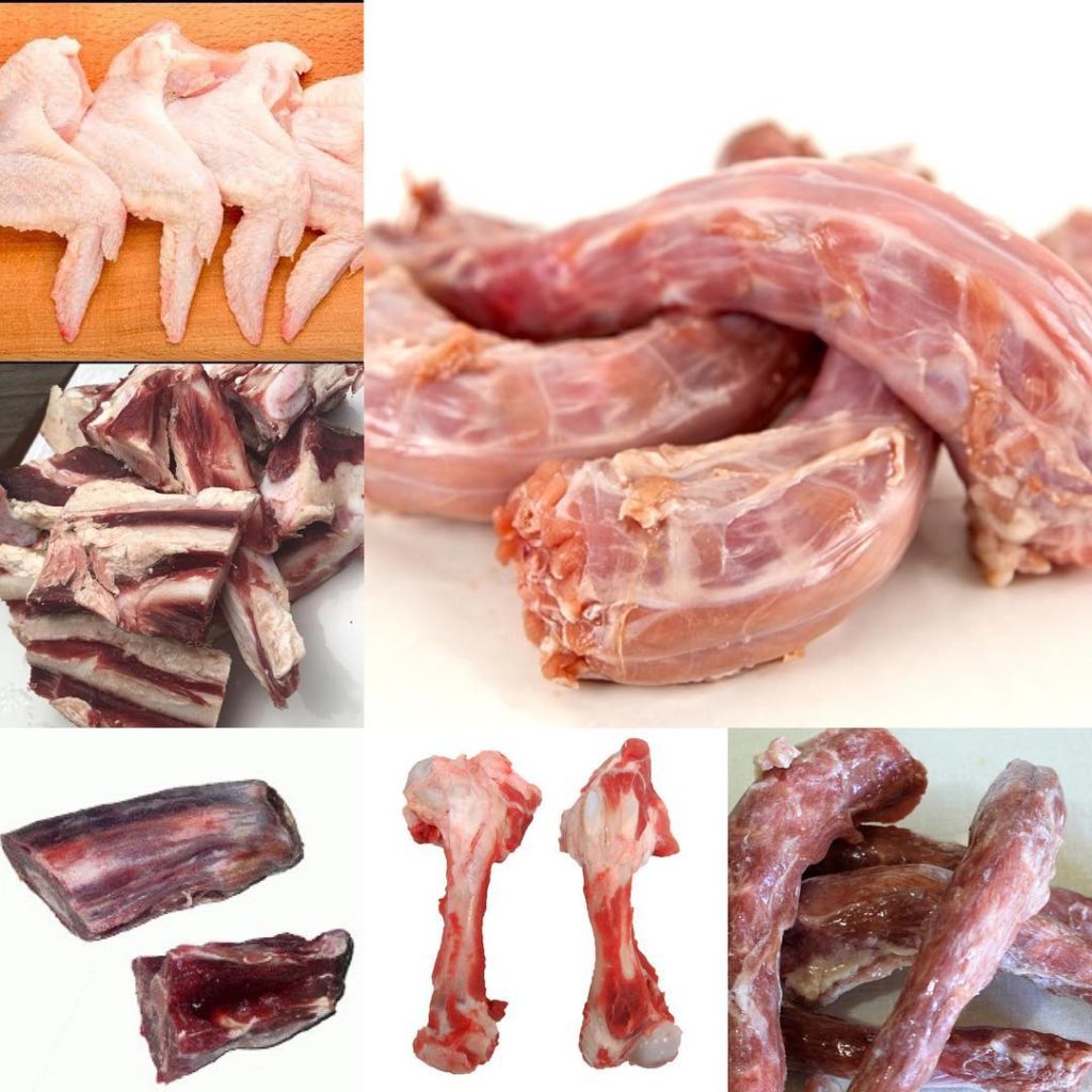 Are chicken bones bad for dogs? - DogZone Australia