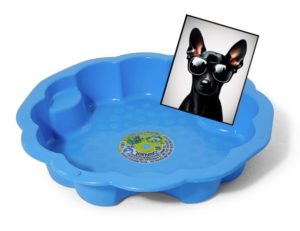 Why Your Dog Needs a Clam Shell Pool! - DogZone Australia
