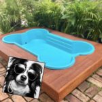 Why Your Dog Needs a Clam Shell Pool! - DogZone Australia