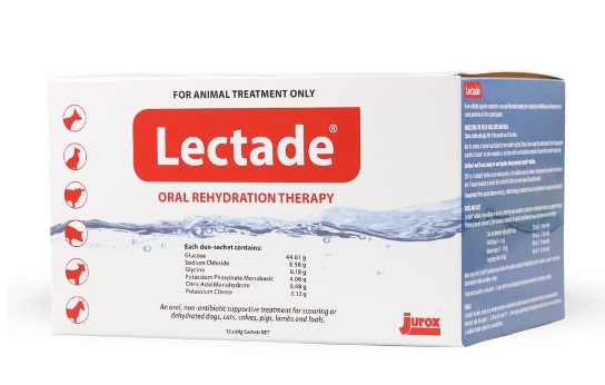 Is Hydralyte Safe For Dogs? - DogZone Australia