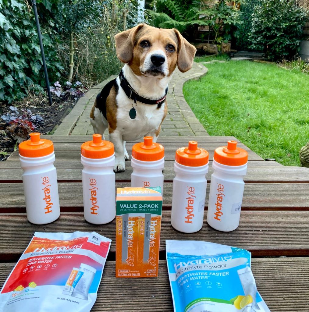 Is Hydralyte Safe For Dogs? - DogZone Australia