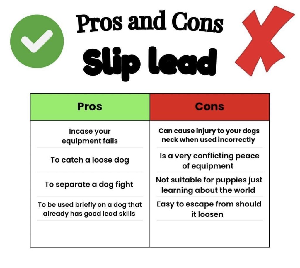 Slip Lead: Pros & Cons - DogZone Australia